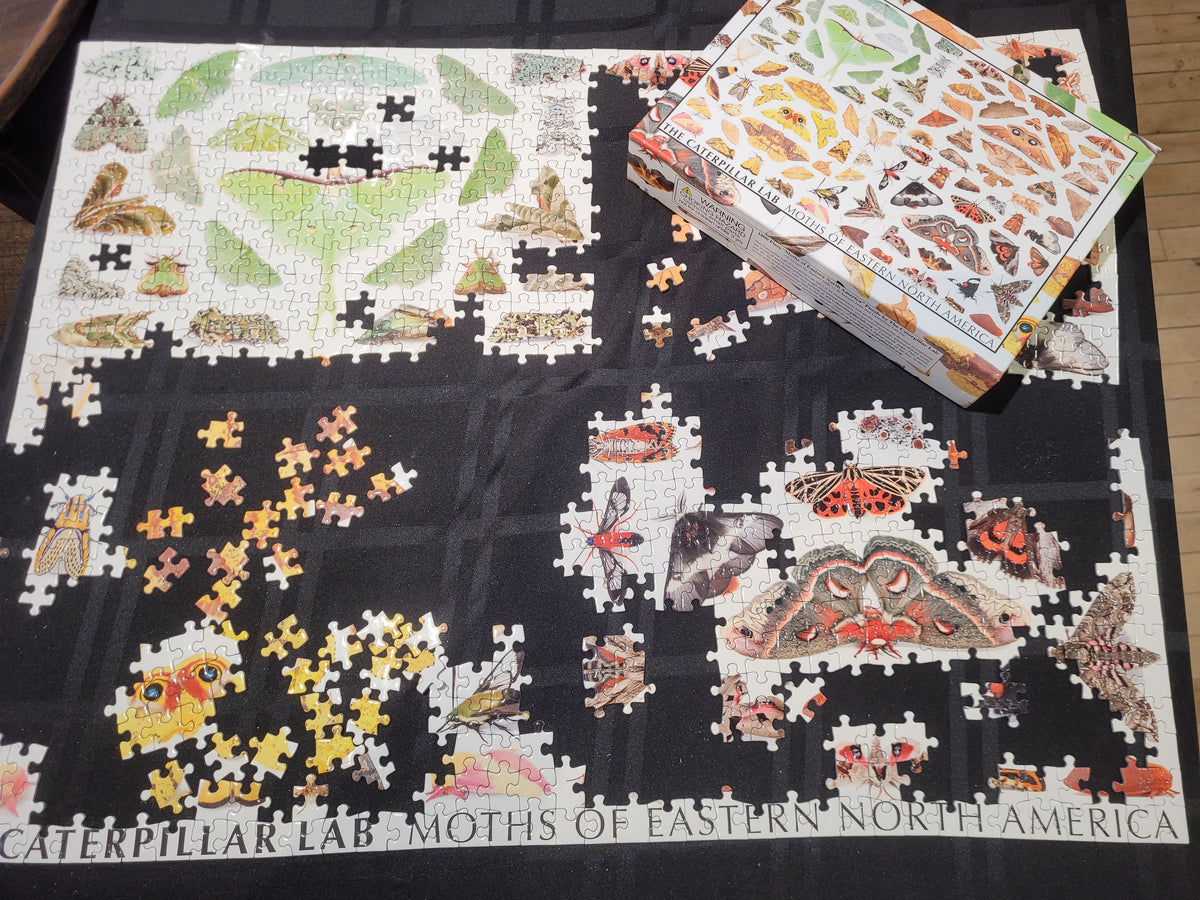 Rainbow of Moths 1000 PIECE PUZZLE – The Caterpillar Lab
