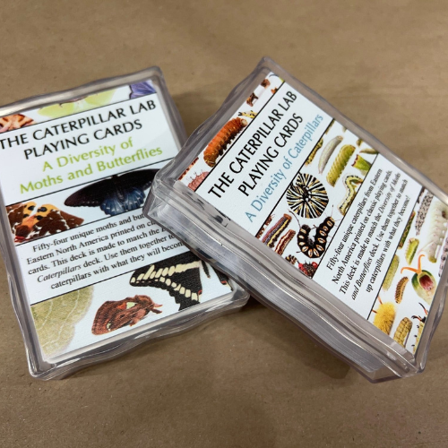 Playing Cards, Trading Cards, Notecards, Flipcards – The Caterpillar Lab