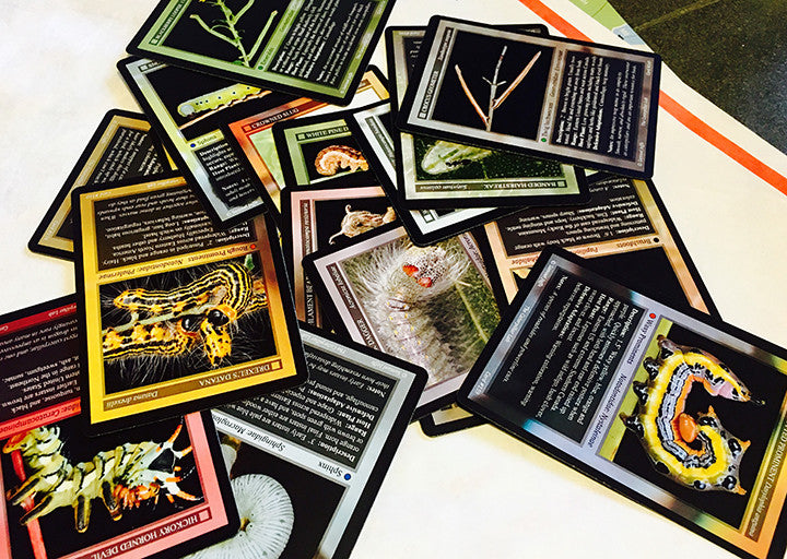 Caterpillar Trading Cards - 10 sets and 18 cards per set. Collect all ...